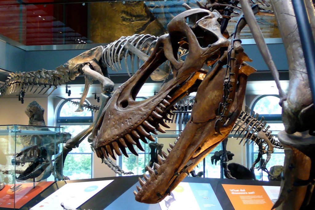 Work | Evidence Design