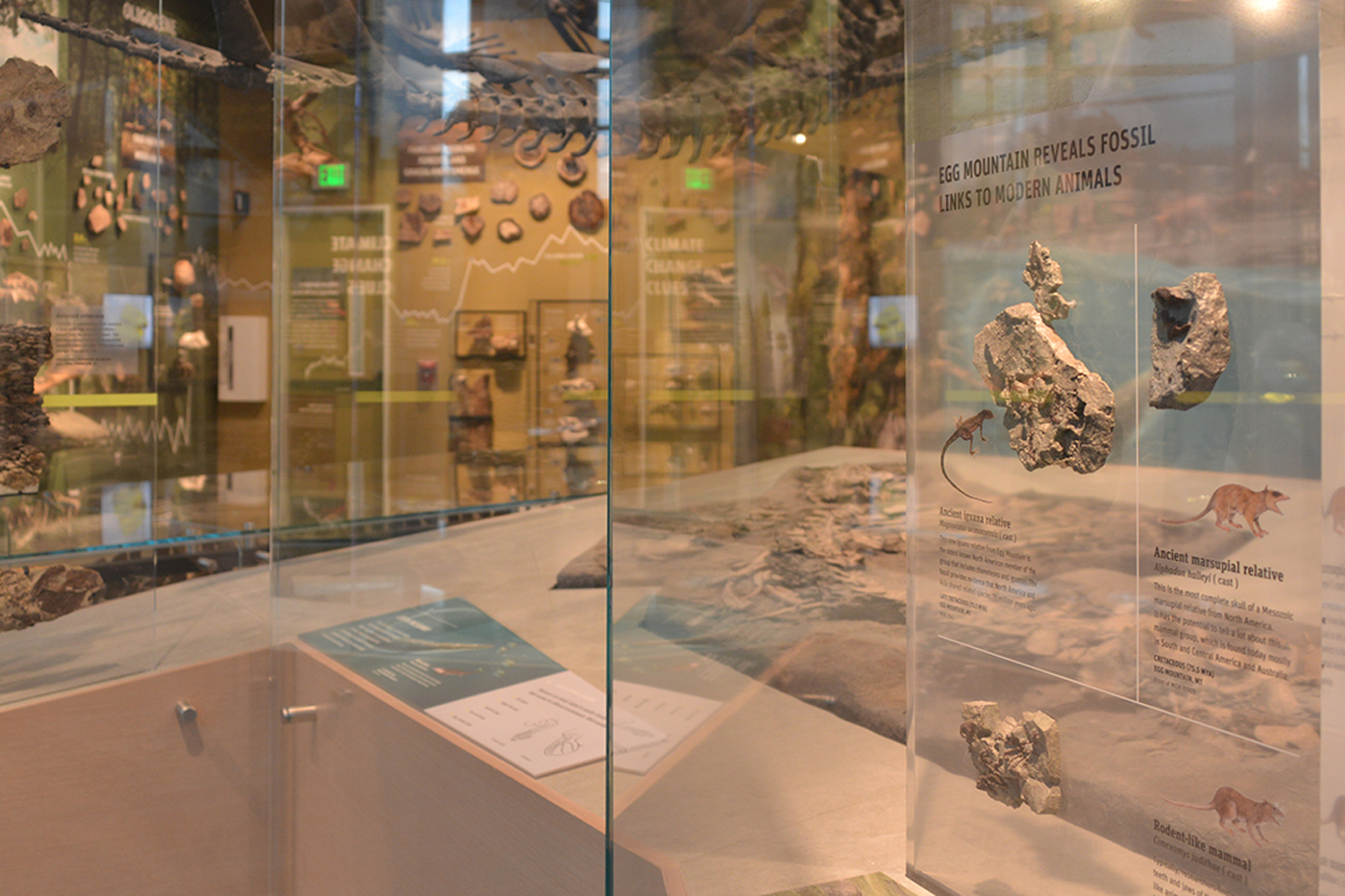 Evidence Design, award-winning studio