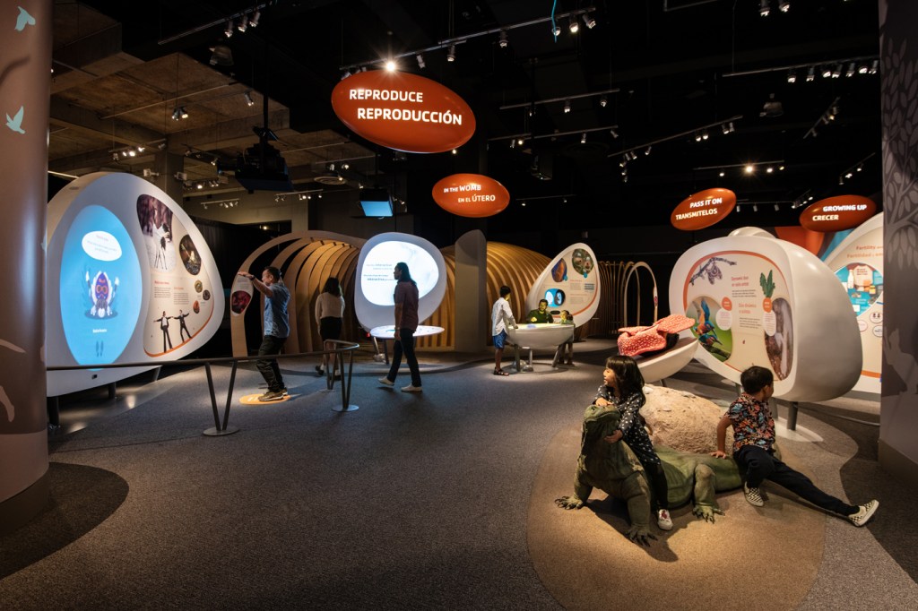 Life! Beginnings comes to life | Evidence Design